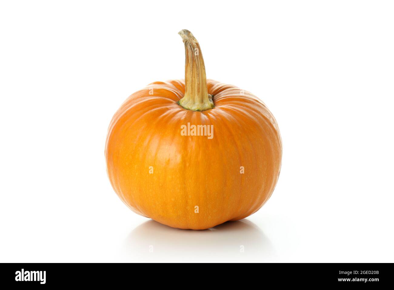 Happy thanksgiving day Cut Out Stock Images & Pictures - Alamy