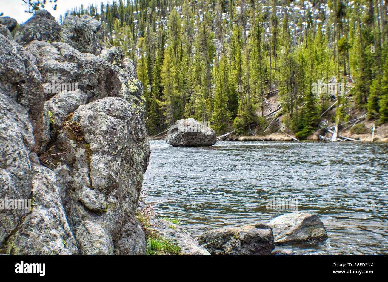 River flowing by cliff and sparse forest with tall green trees Stock ...