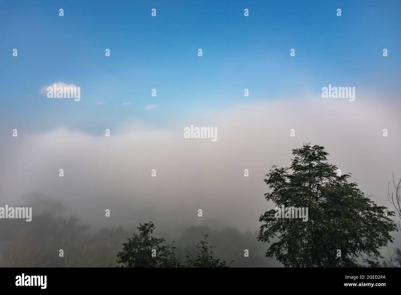 Natural phenomena. Fogbow or White rainbow occurs above the mist Stock ...