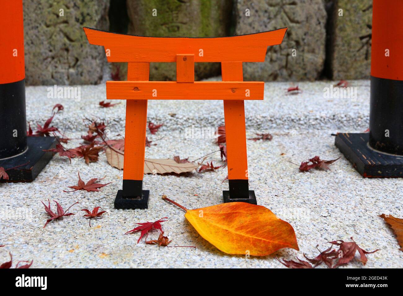 Mini zen garden hi-res stock photography and images - Alamy