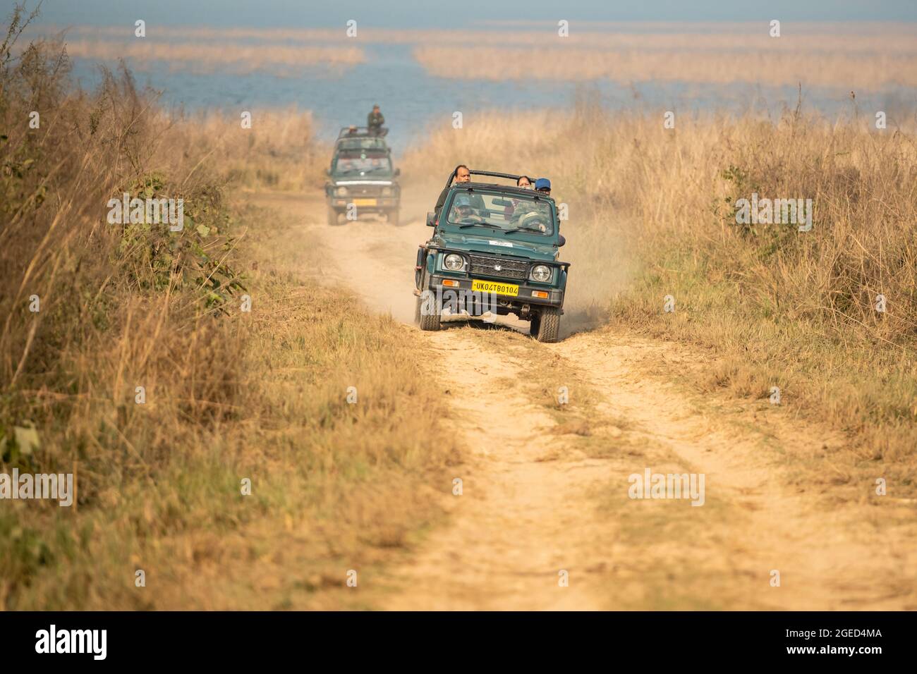 Jim corbett national park, Ramnagar, Uttarakhand, India - December 8 ...