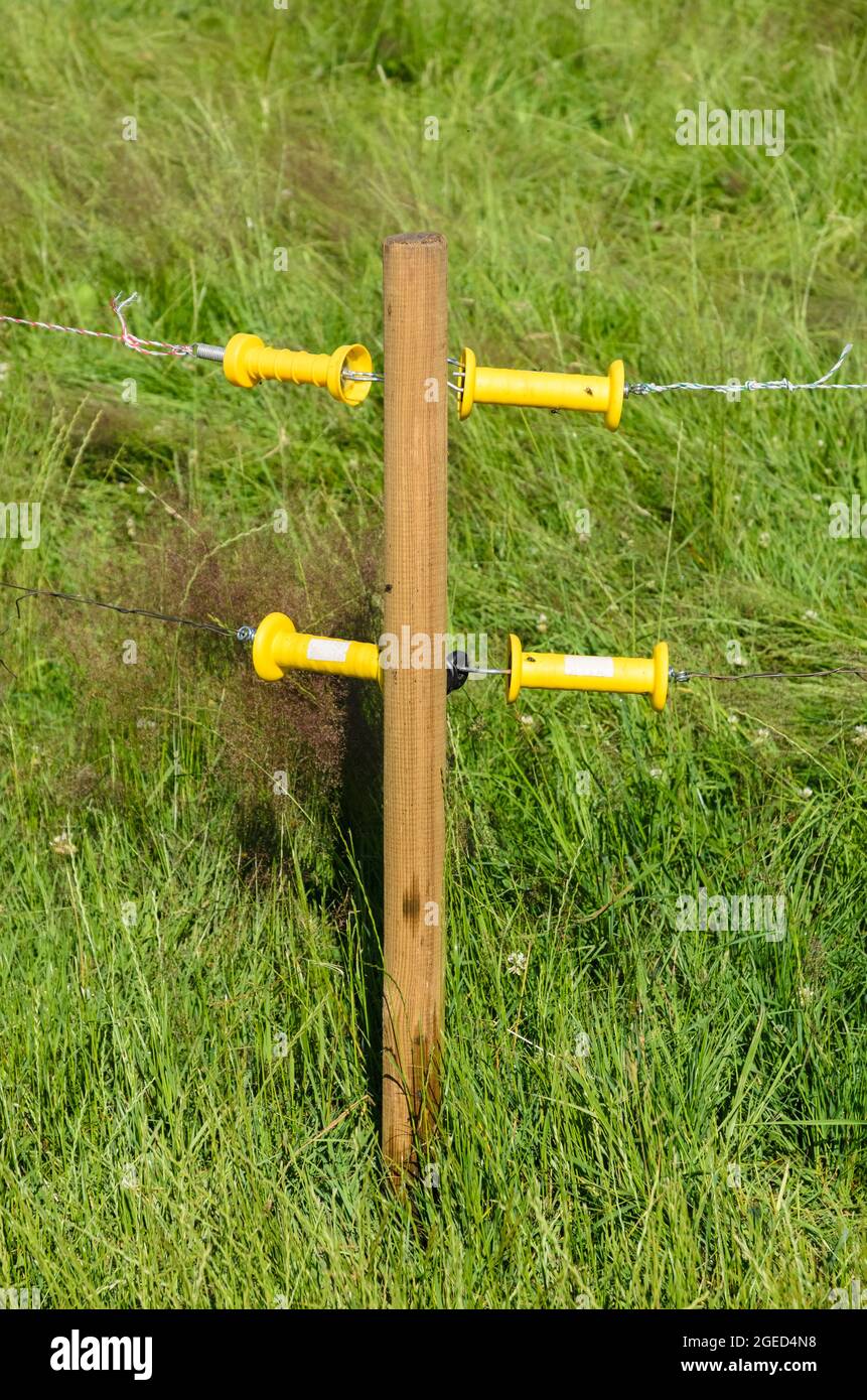 Plastic field paddock hi-res stock photography and images - Alamy