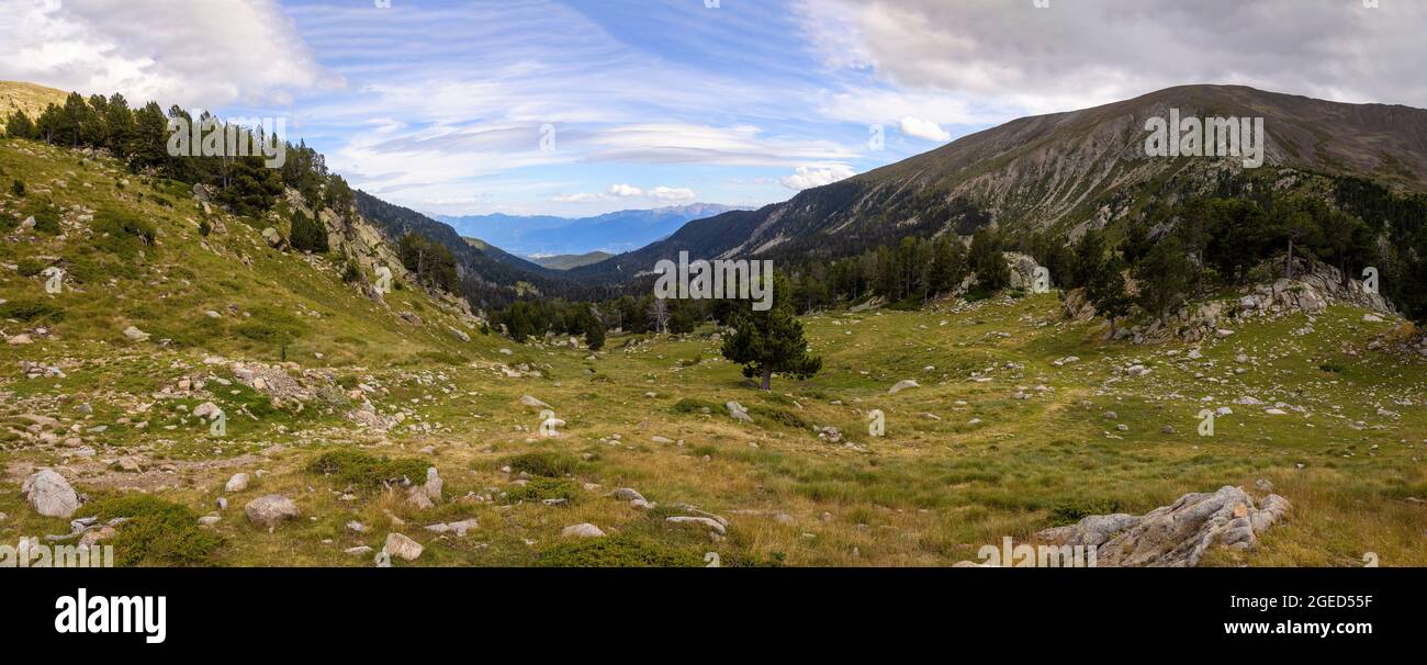 Summer landscape in La Cerdanya, Pyrenees mountain, Catalonia, Spain ...