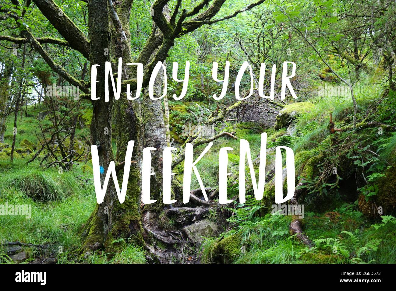 Enjoy your weekend. Social media motivational poster Stock Photo - Alamy