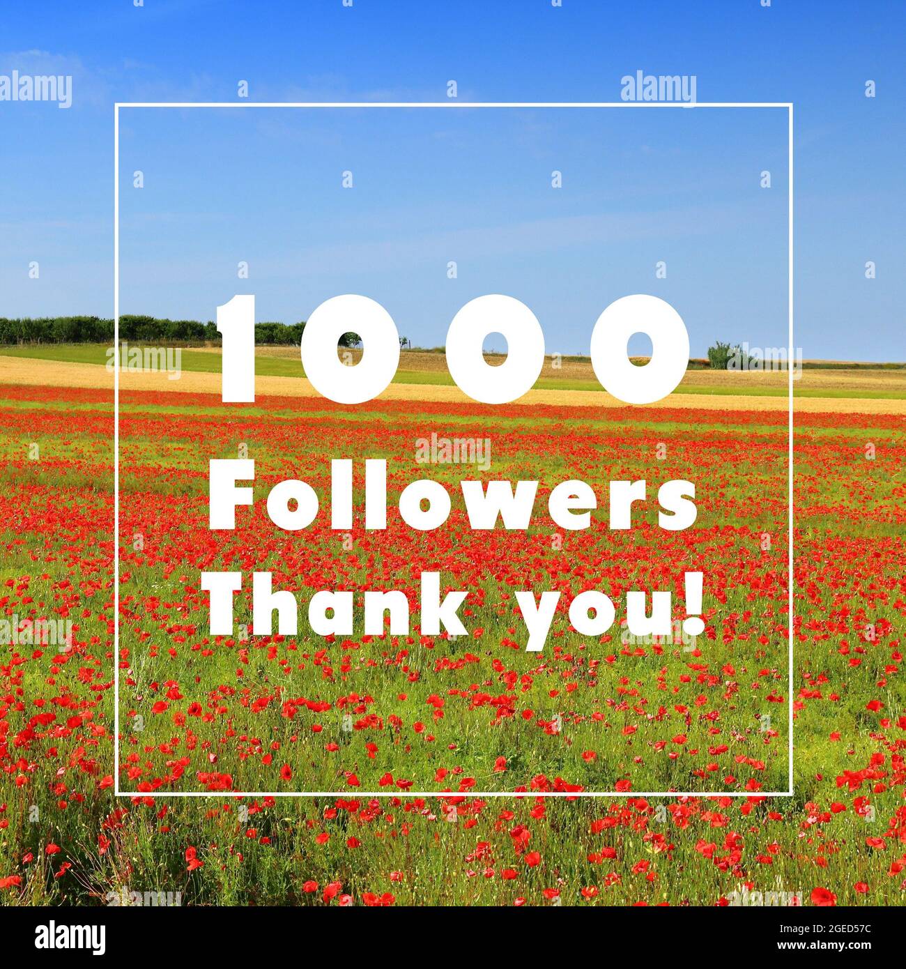 1000 followers. Social media follower milestone success. Thank you sign ...