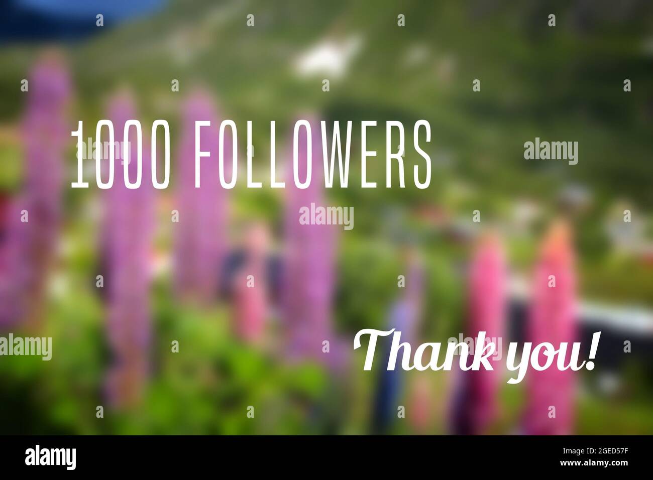 1000 followers. Social media follower milestone. Thank you sign Stock ...