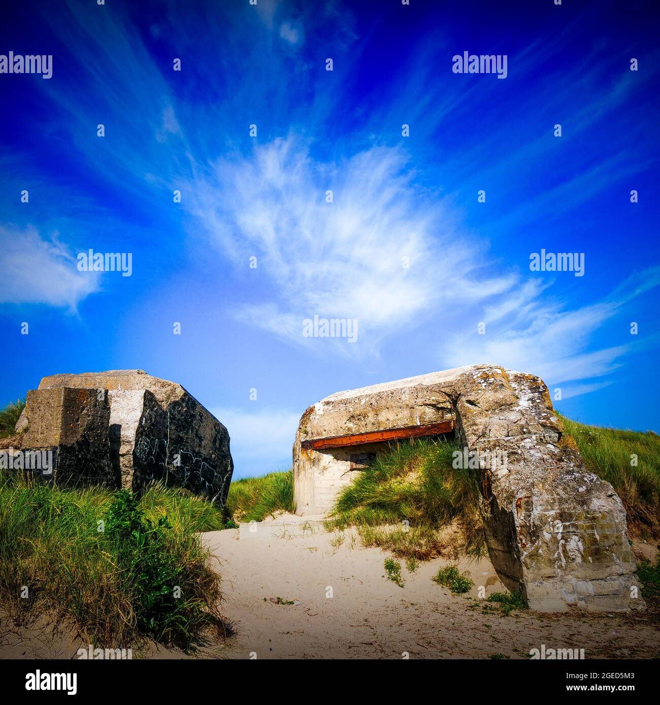 German bunker, remains of the Atlantic Wakll, Utah Beach, Manche ...