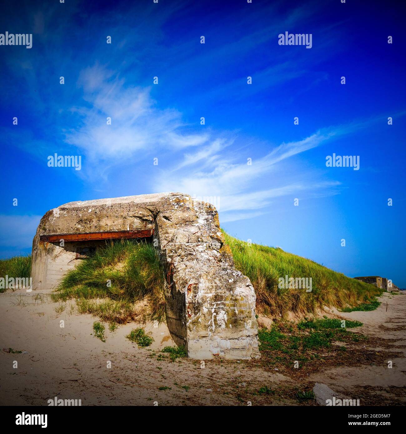 German bunker, remains of the Atlantic Wakll, Utah Beach, Manche ...