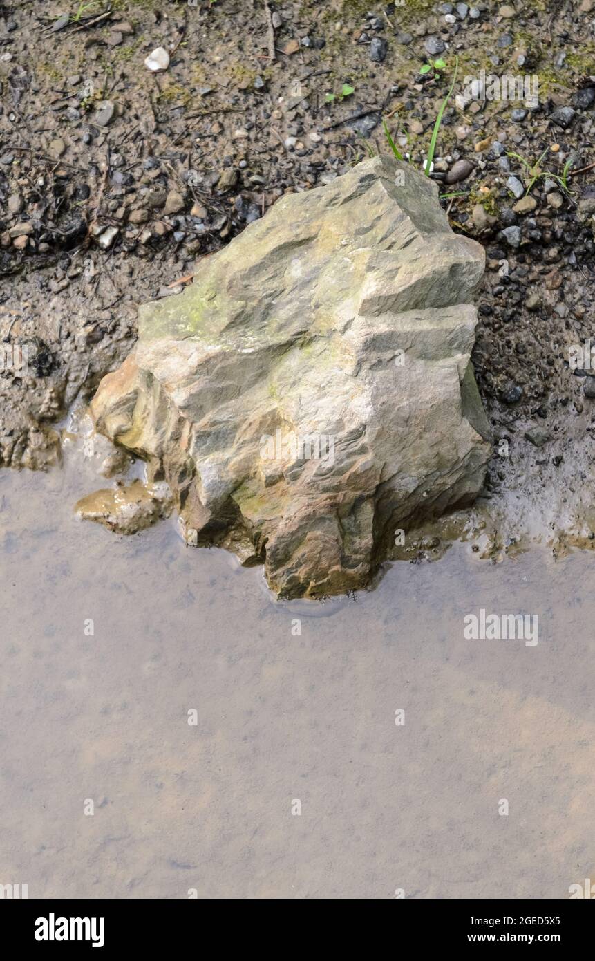 Puddle soil hi-res stock photography and images - Alamy