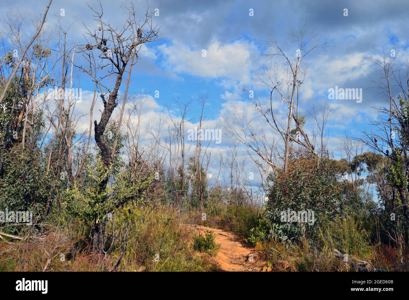 Lockleys pylon walking hi-res stock photography and images - Alamy