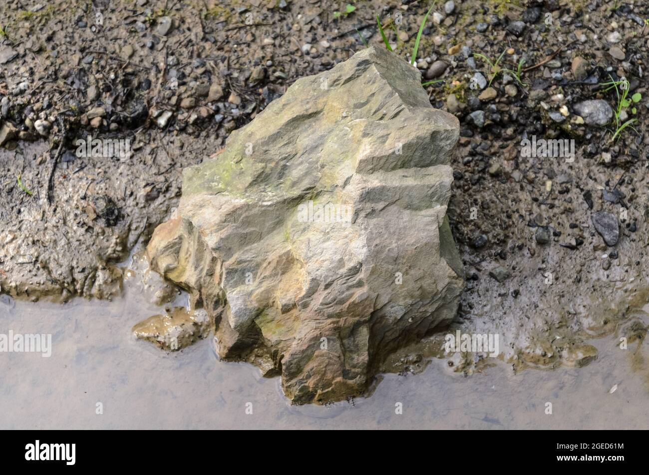 Puddle soil hi-res stock photography and images - Alamy