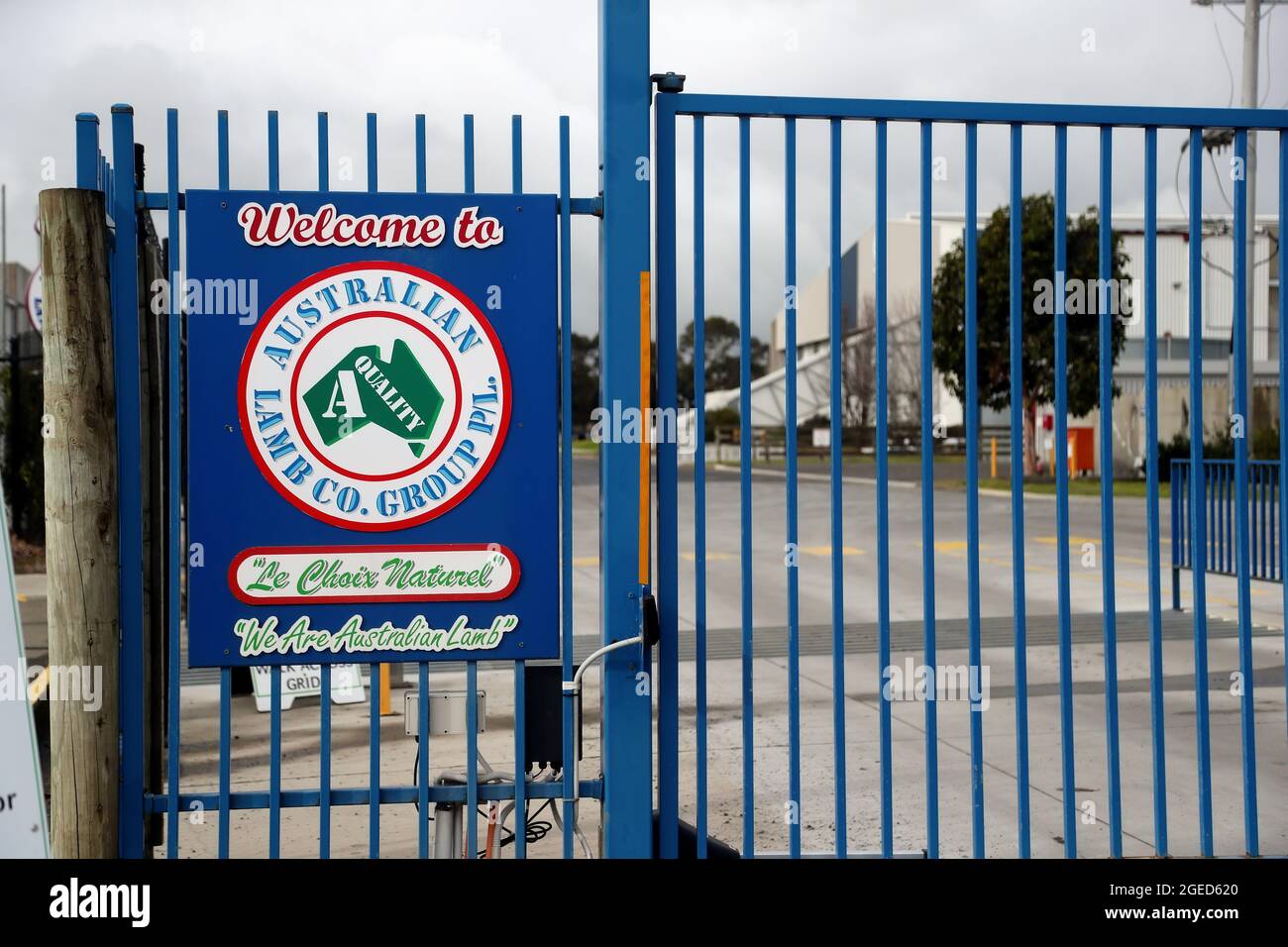 Australian lamb company hi-res stock photography and images - Alamy