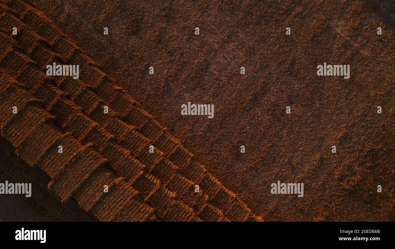 Straw collected in bales after the grain harvest. Coiled and folded on ...
