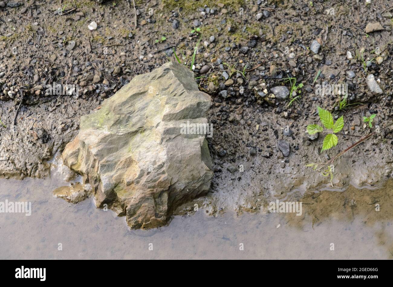 Puddle soil hi-res stock photography and images - Alamy
