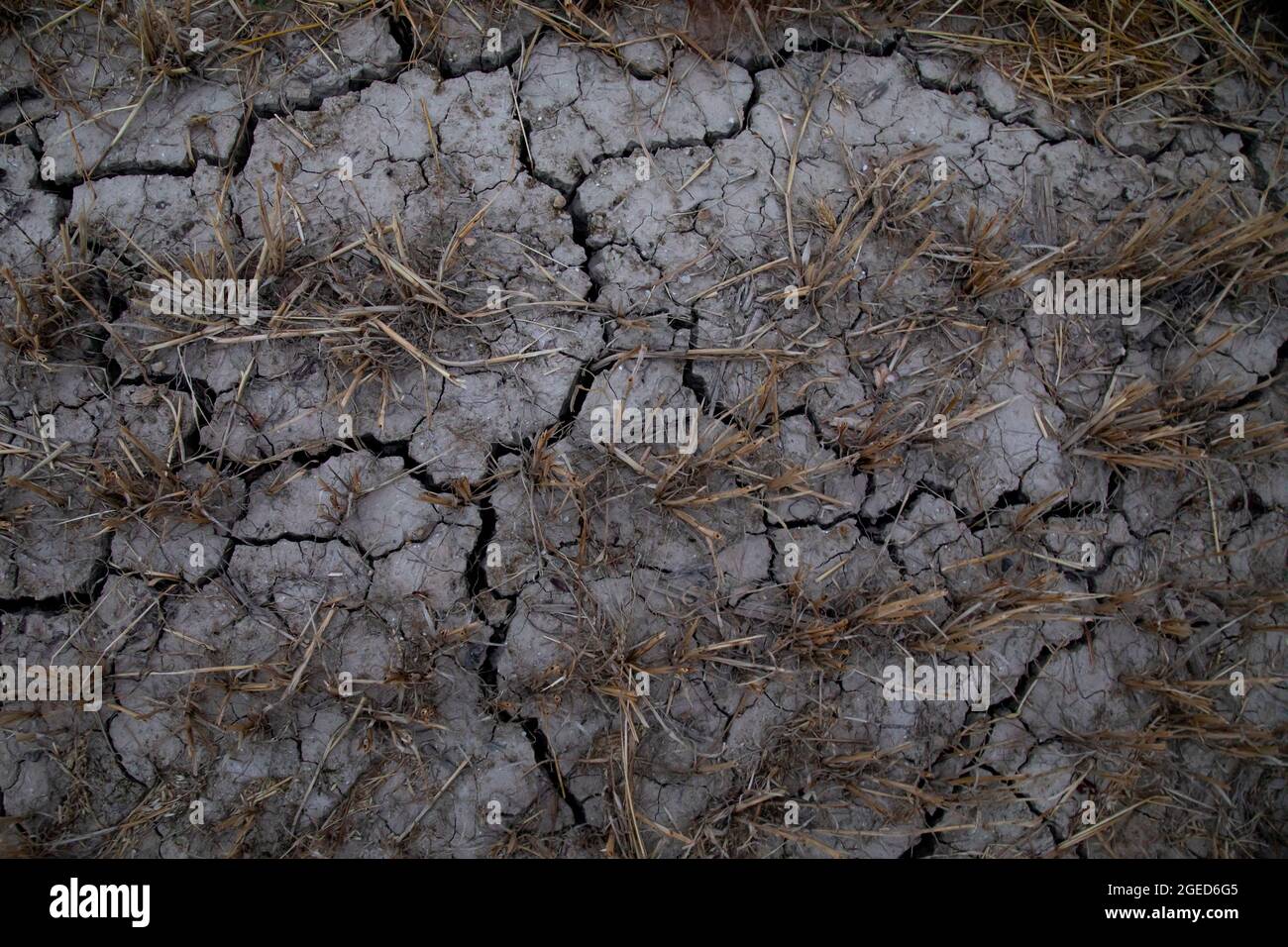 dry and cracked soil in the sun from the heat Stock Photo - Alamy