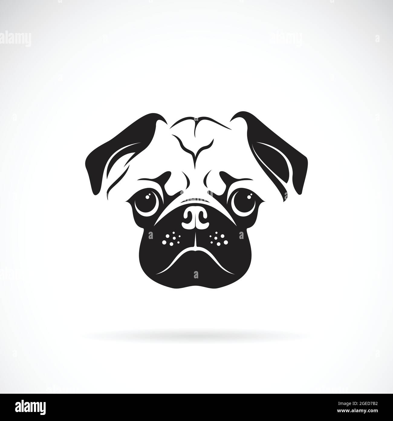 Vector of pug dog face on white background, Pet. Animals. Easy editable ...