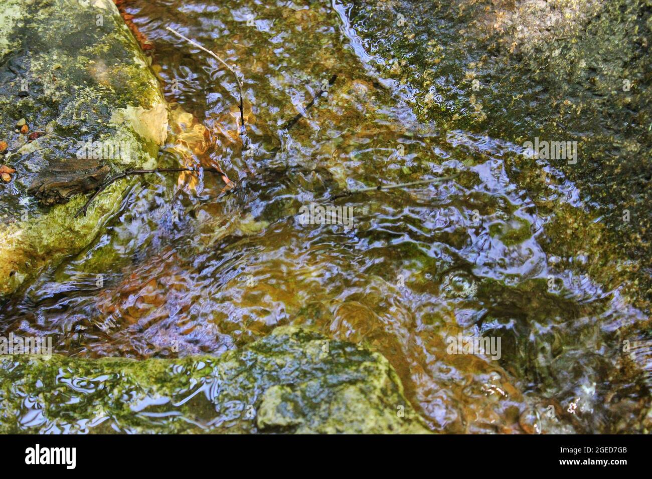 Water flowing in the stream under the bright summer sun Stock Photo - Alamy