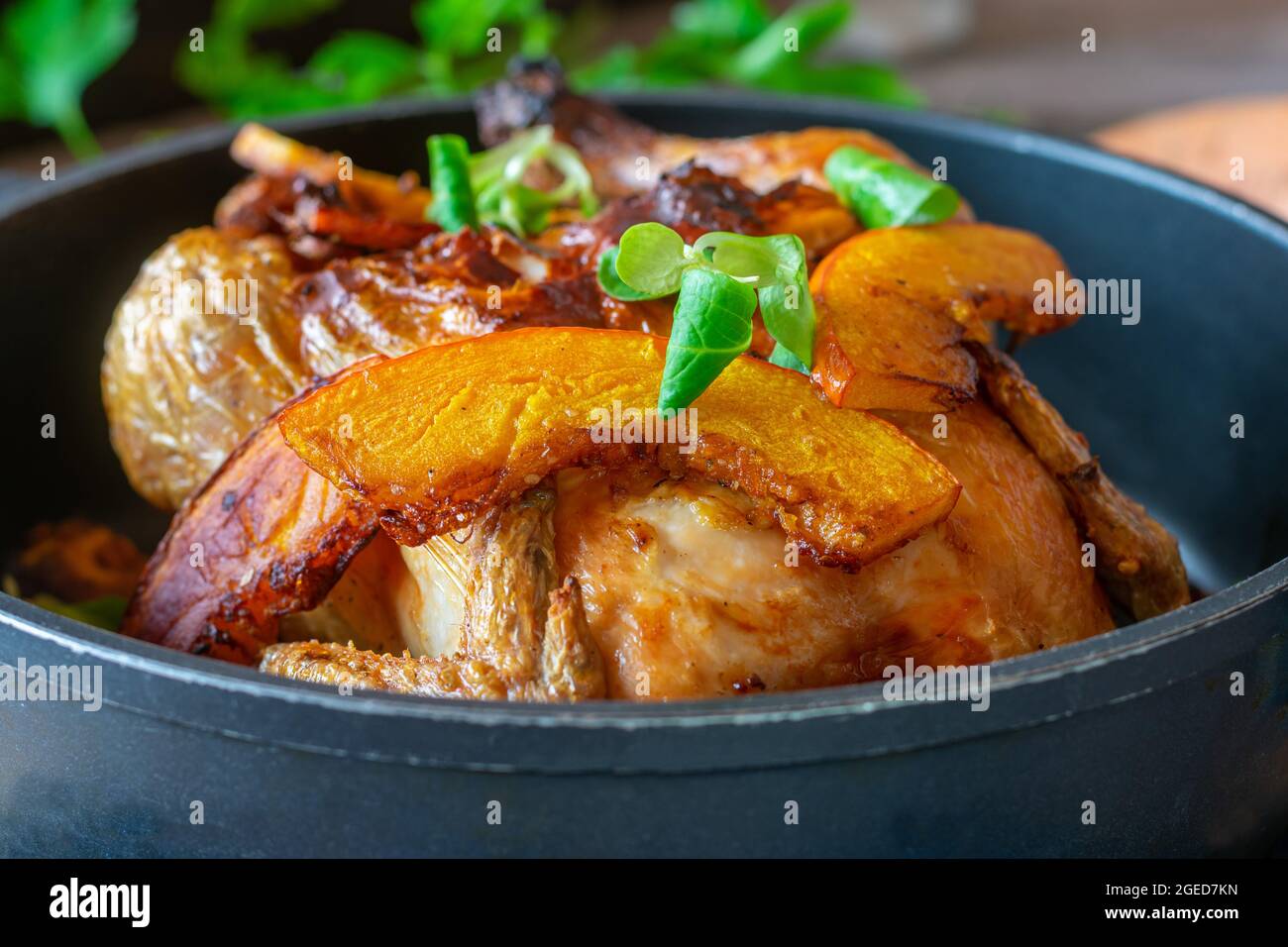 Roast chicken with pumpkin. Delicious chicken dish served in roaster on ...