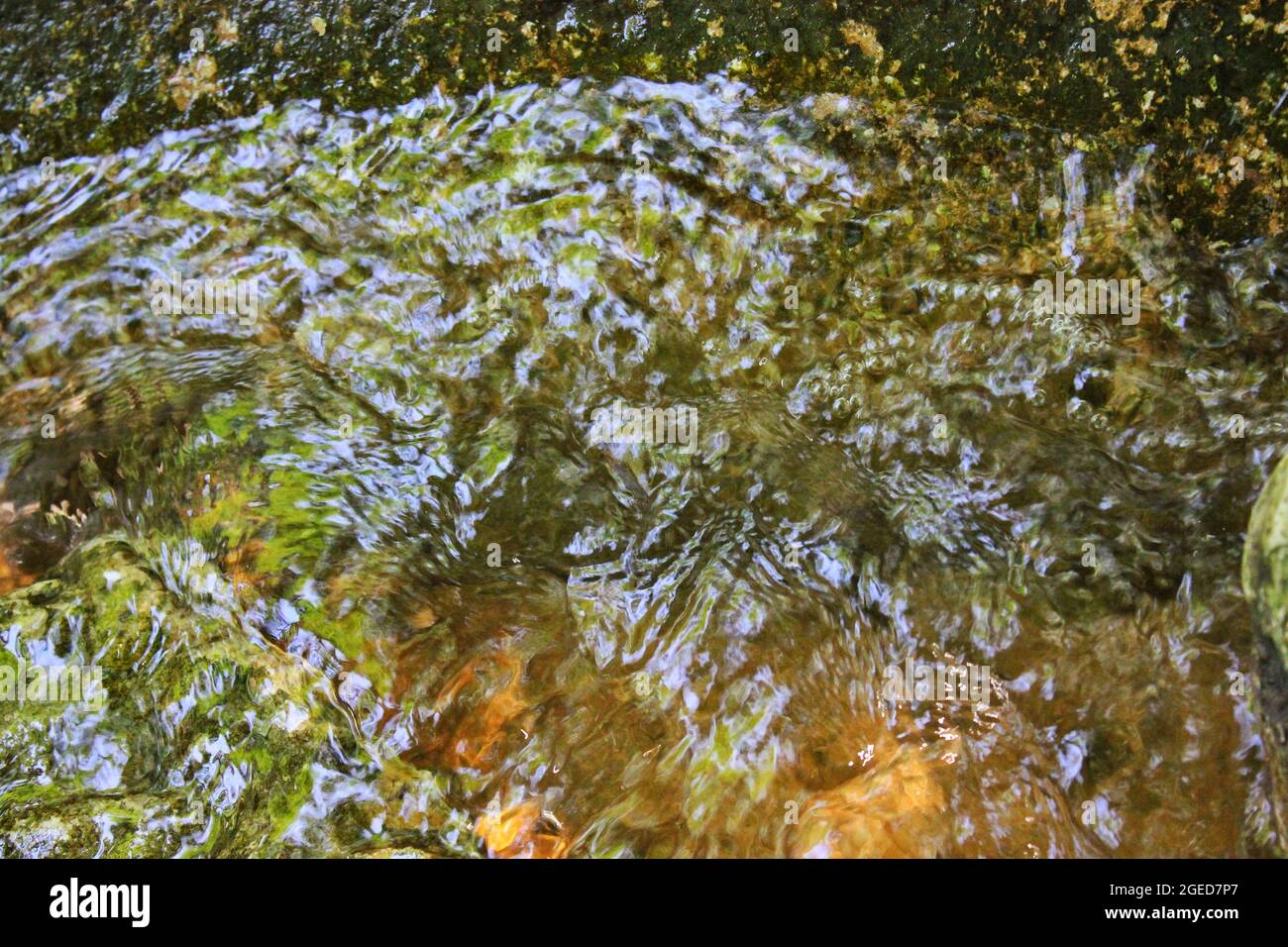 Clear river water flowing under the bright summer sun Stock Photo - Alamy