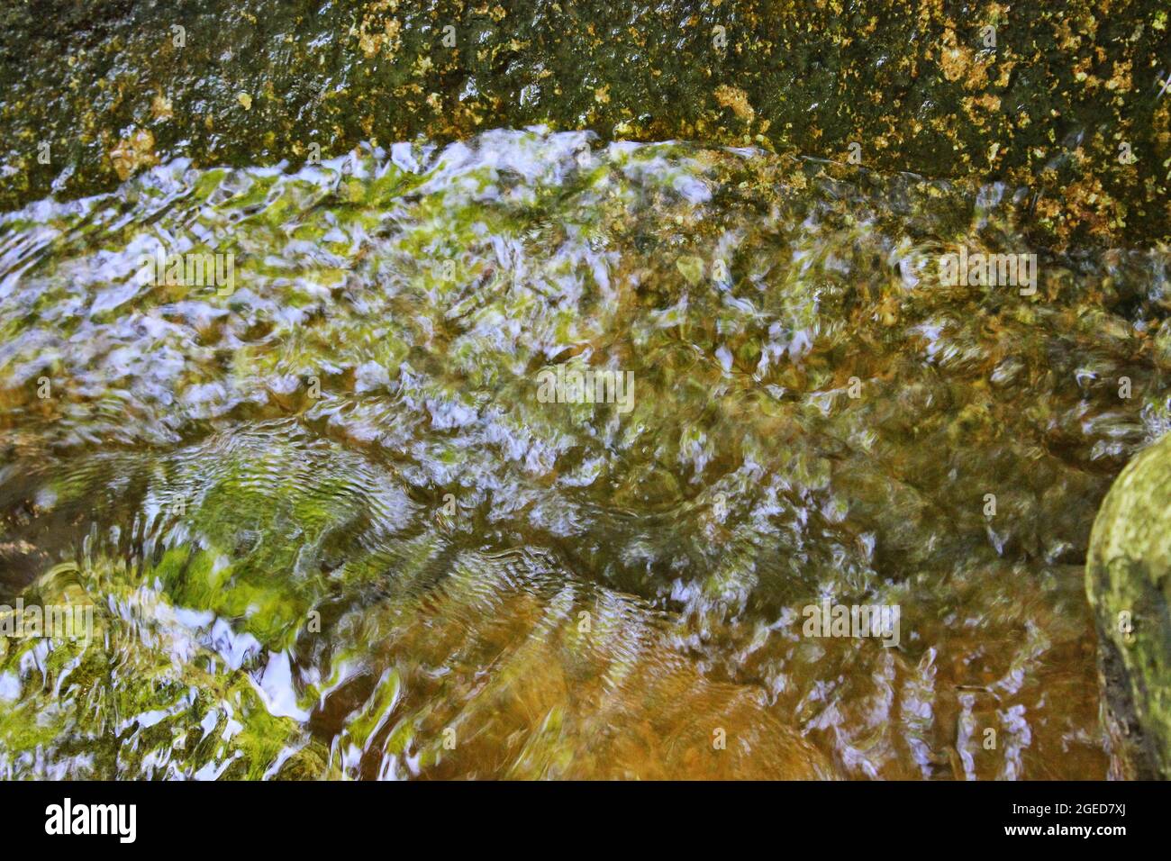 Clear river water flowing under the bright summer sun Stock Photo - Alamy