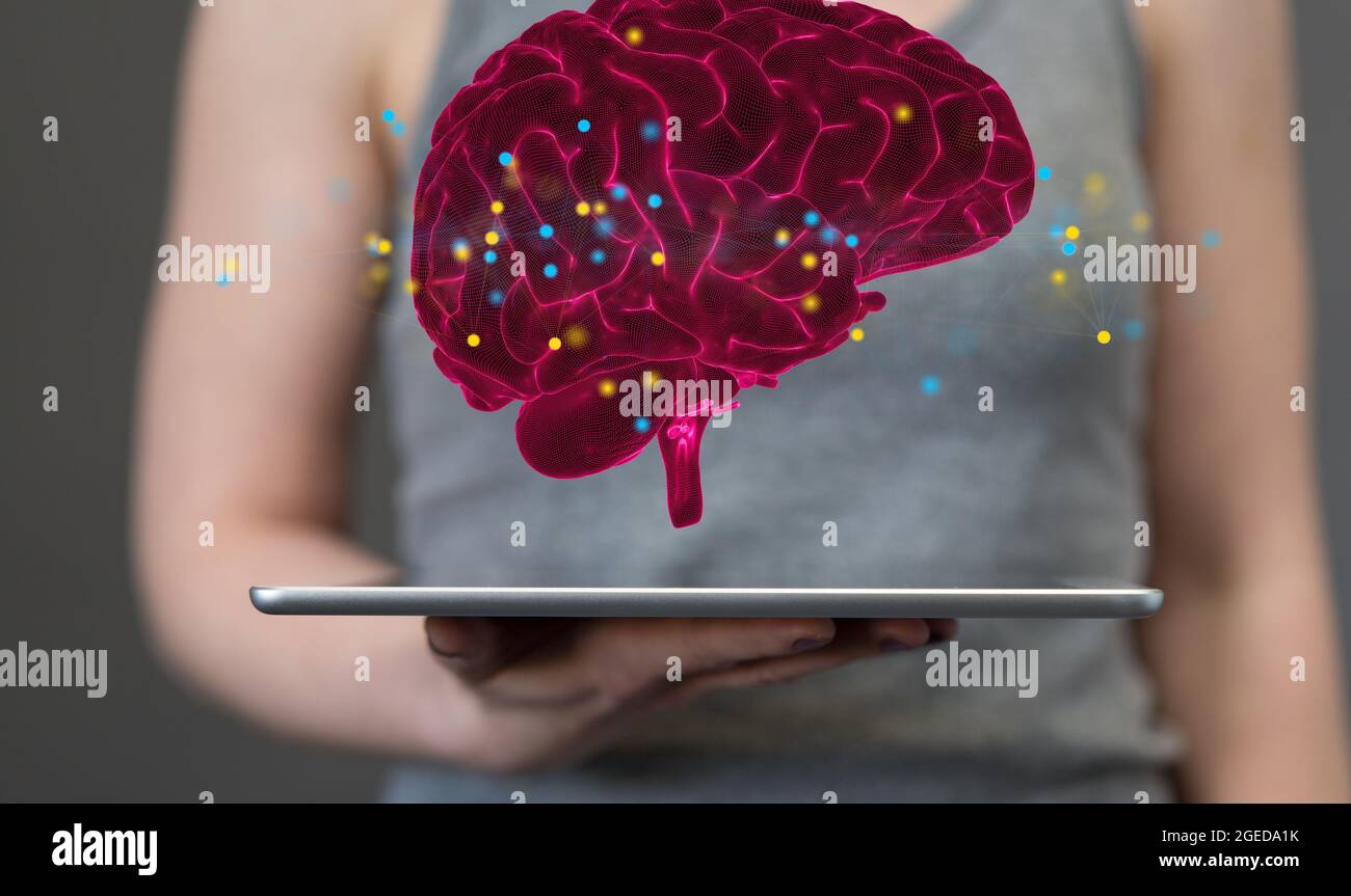 Person working with a 3D render of human brain - artificial ...