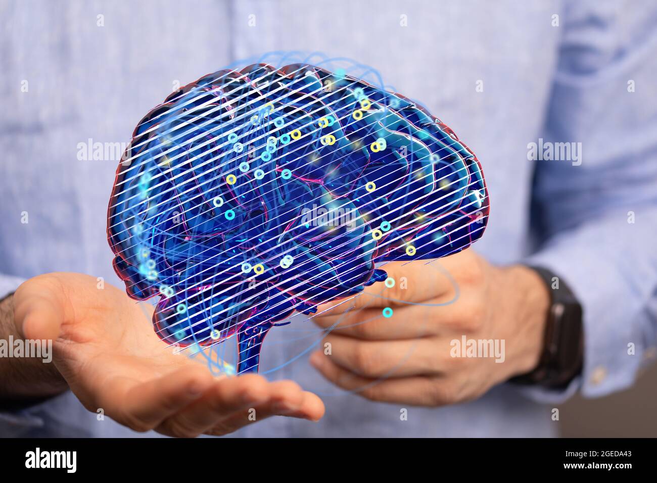 Person working with a 3D render of human brain - artificial ...