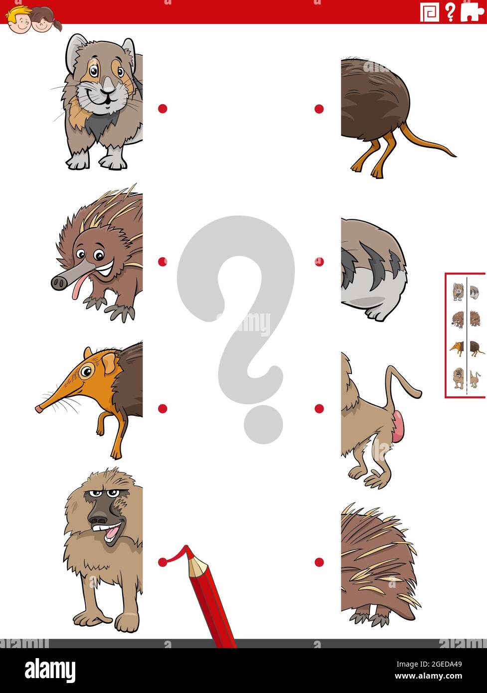Cartoon illustration of educational game of matching halves of pictures ...