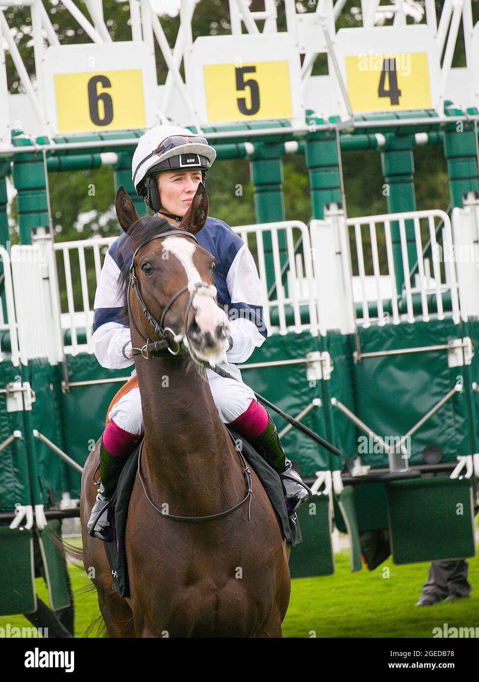 Saffie Osborne riding Tenaya Canyon at the Ebor racing festival at York ...