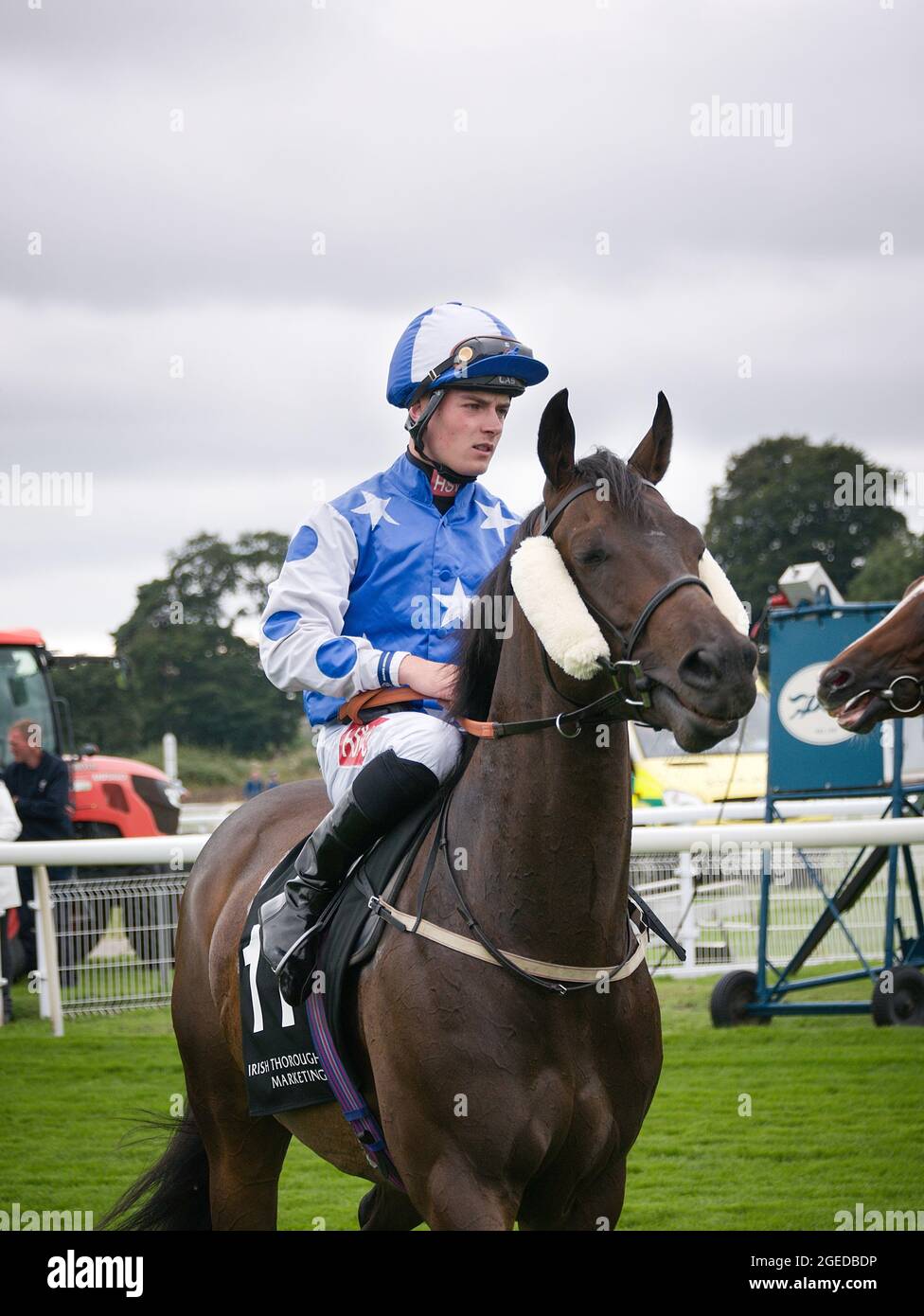 Horse racing ebor festival juddmonte international york racecourse hi ...