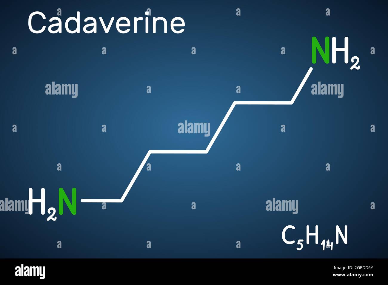 Cadaverine, pentamethylenediamine molecule. It is foul-smelling diamine ...