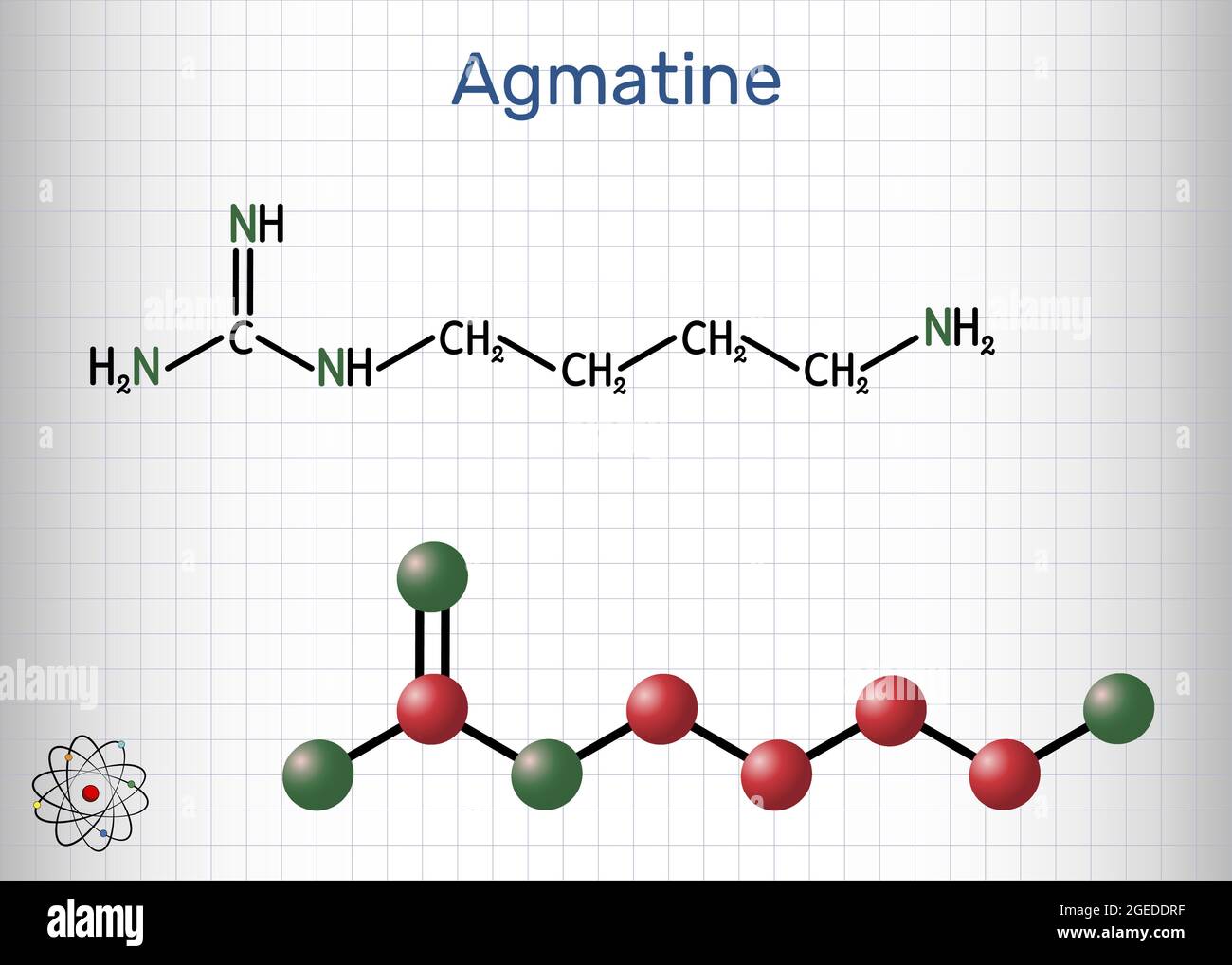 Agmatine molecule. It is amino compound, member of guanidines, natural ...