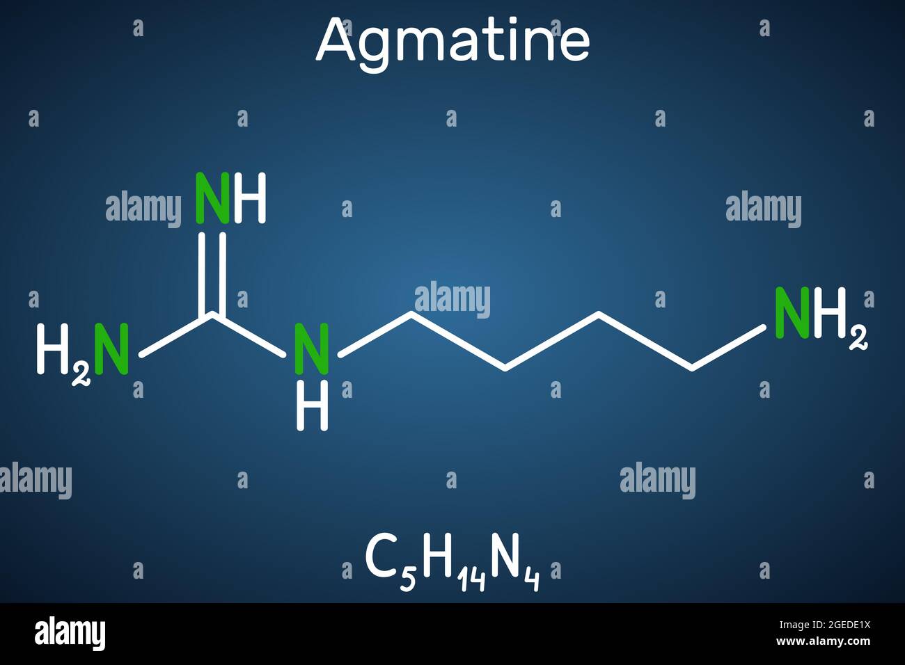 Agmatine molecule. It is amino compound, member of guanidines, natural ...