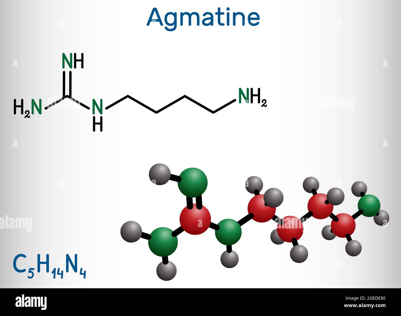 Agmatine molecule. It is amino compound, member of guanidines, natural ...