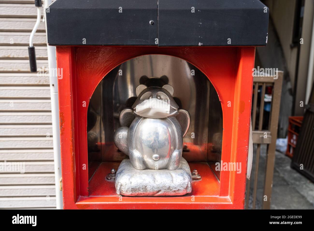 Raccoon dog temple hi-res stock photography and images - Alamy