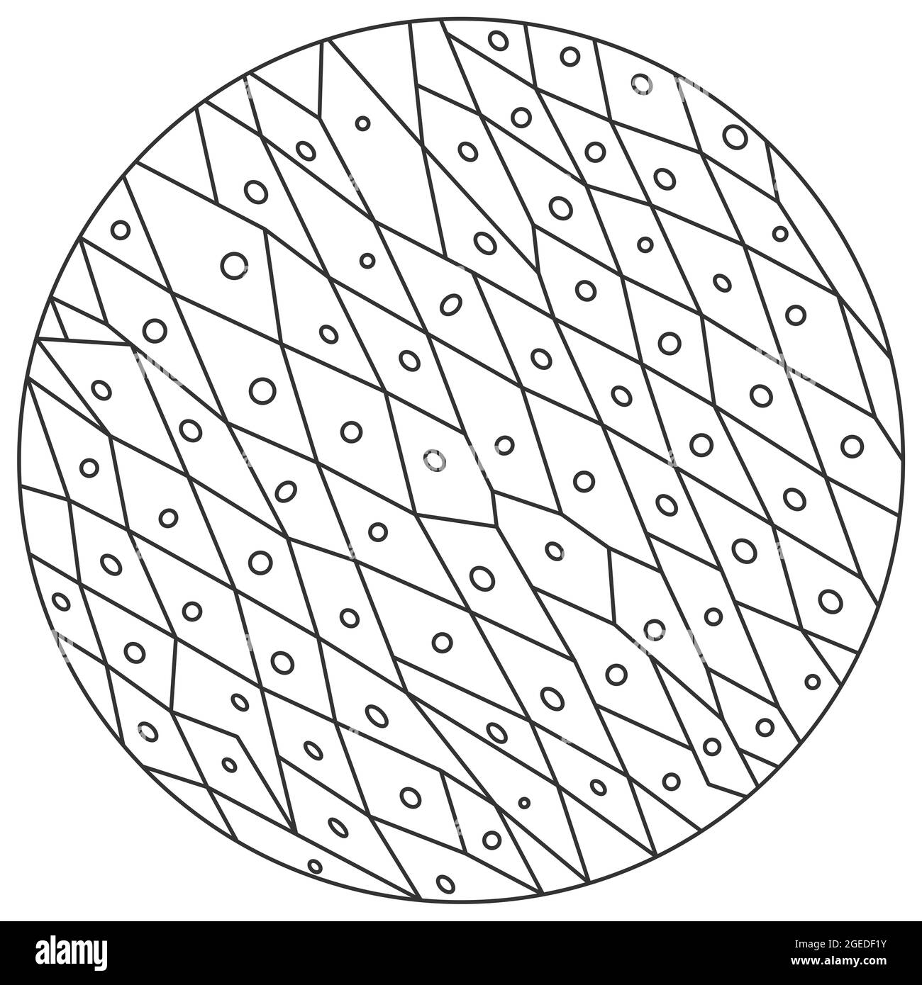 Onion Cells Under Microscope Drawing