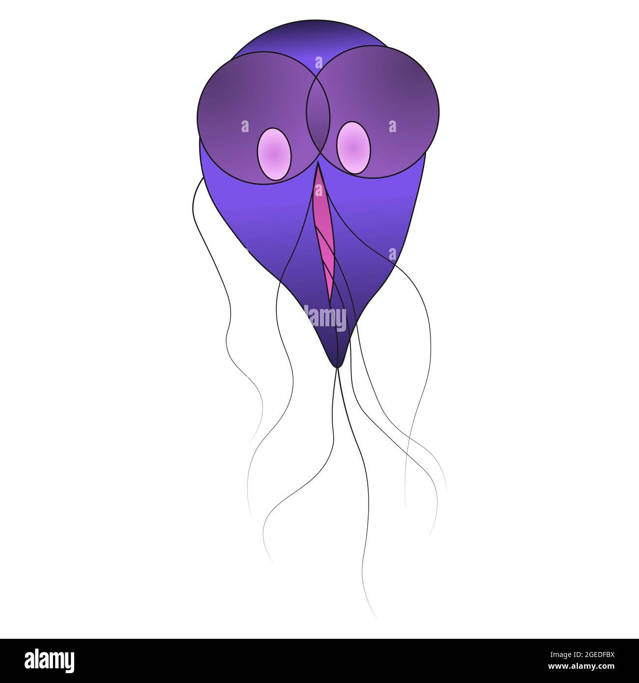Purple Giardia lamblia protozoan. Vector illustration of a ...
