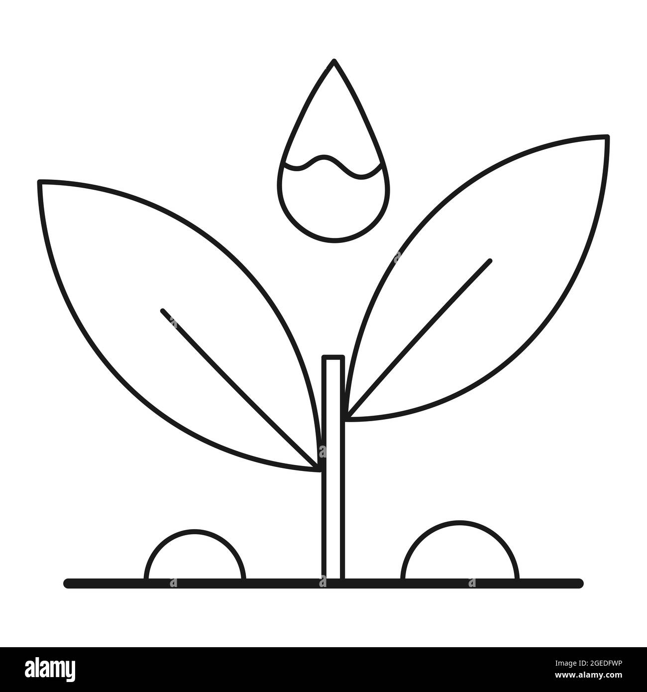 Watering small plant sprout. Ecological icons with plants. Isolated on ...