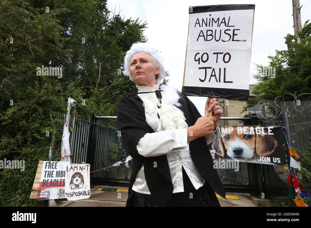 A protester dressed as a judge holds up a sign reading "Animal Abuse ...