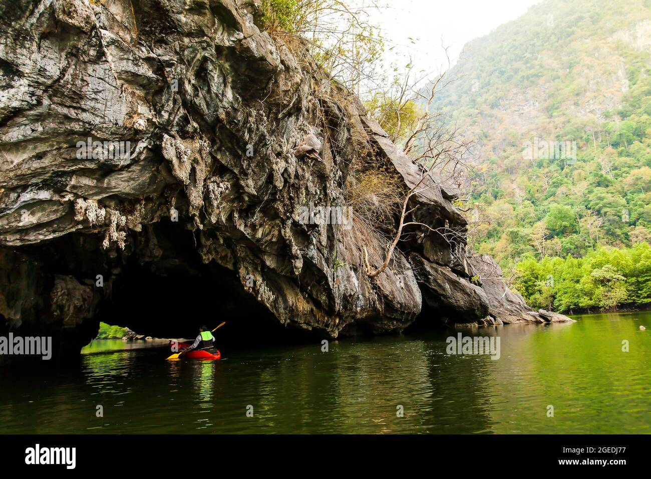 Mangrove cave hi-res stock photography and images - Alamy