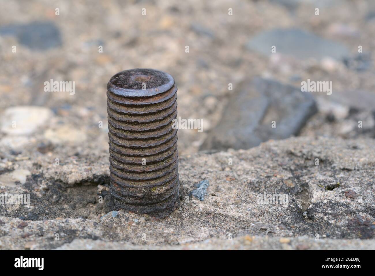 Close-up shot of a small metal screw on the ground Stock Photo - Alamy