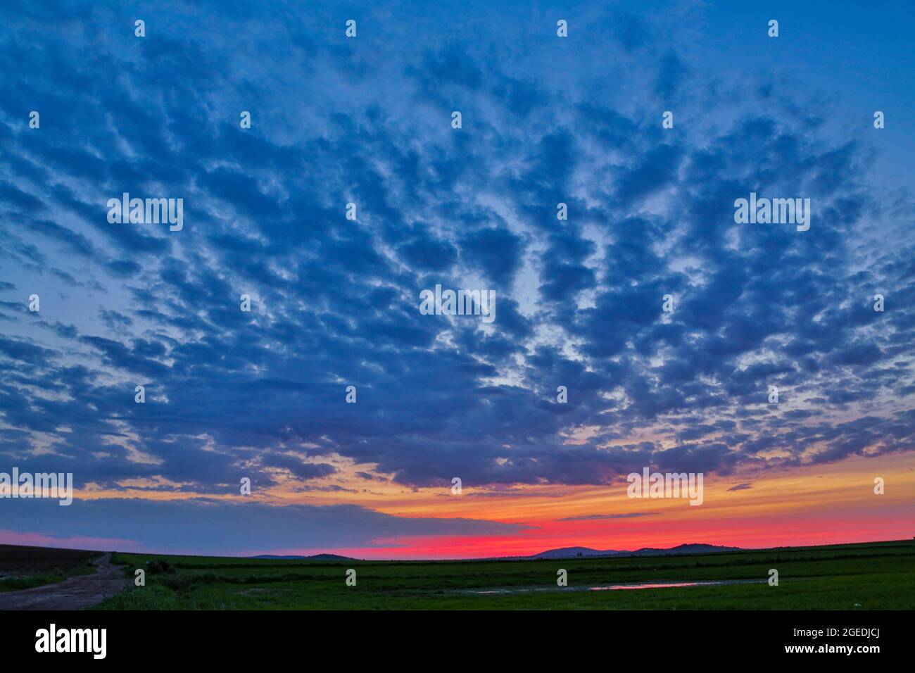 Sunset of red and blue colors Stock Photo - Alamy