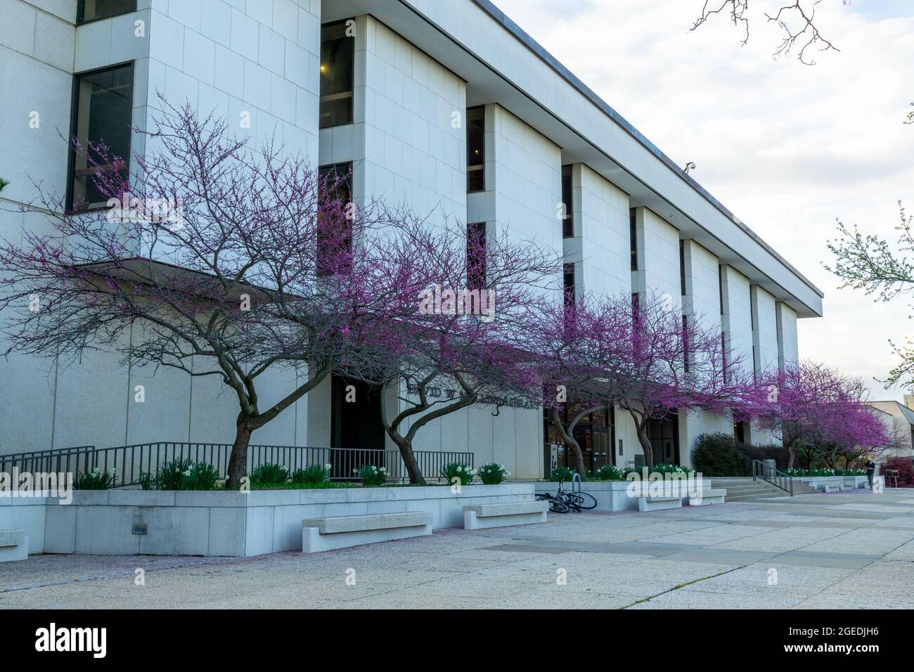 Mullins library hi-res stock photography and images - Alamy