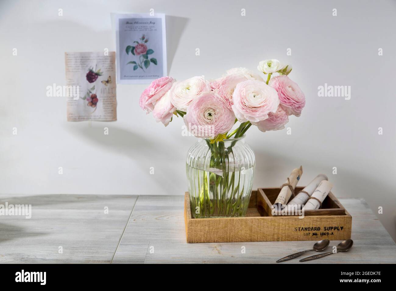 London, UK -20 March 2021, the Bouquet of pale pink Persian buttercups ...