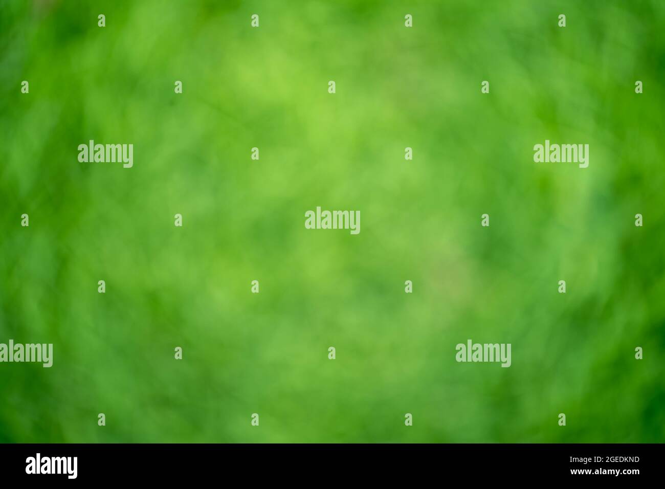 Greenery detail hi-res stock photography and images - Alamy