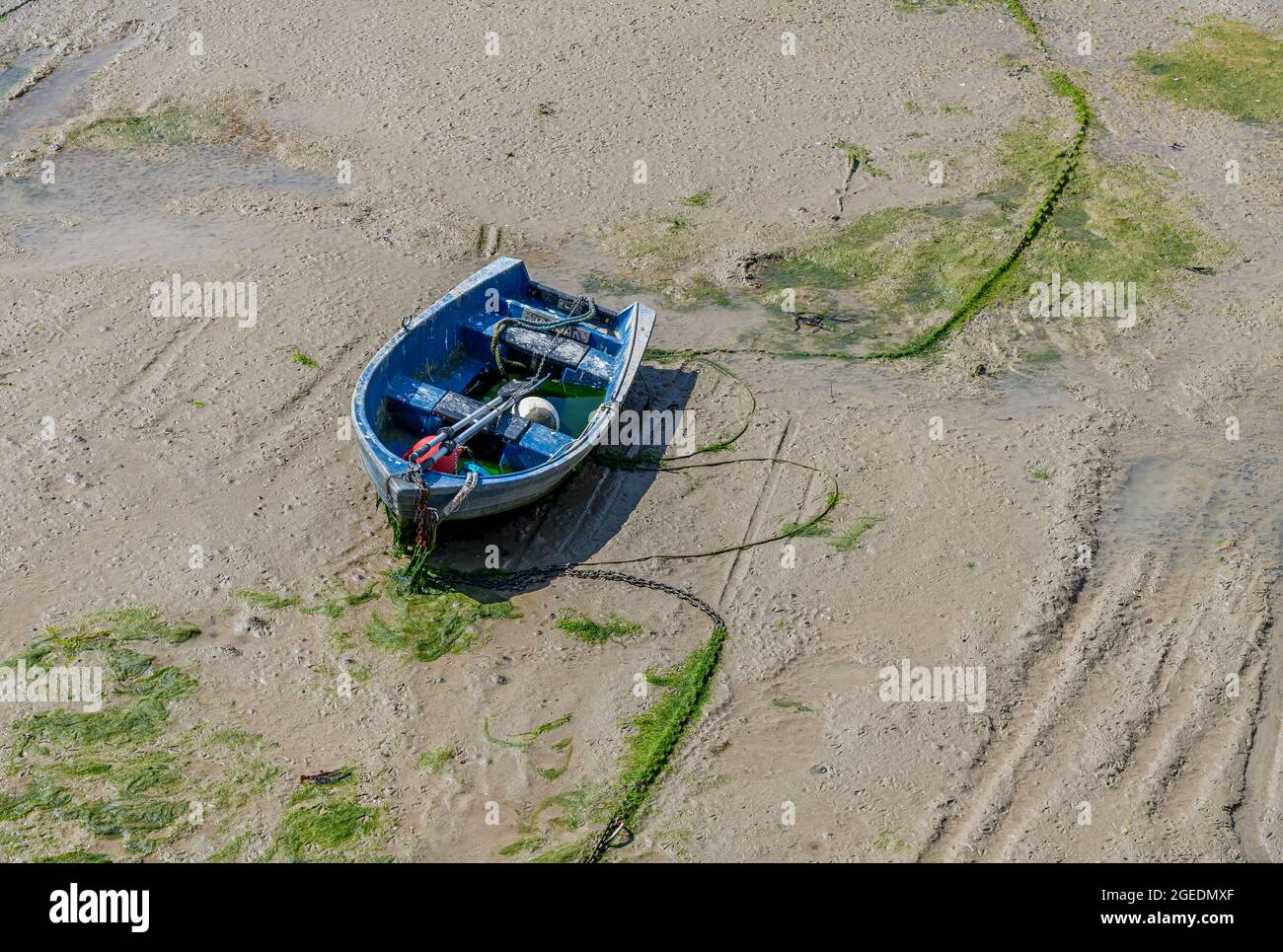 Clawpy hi-res stock photography and images - Alamy