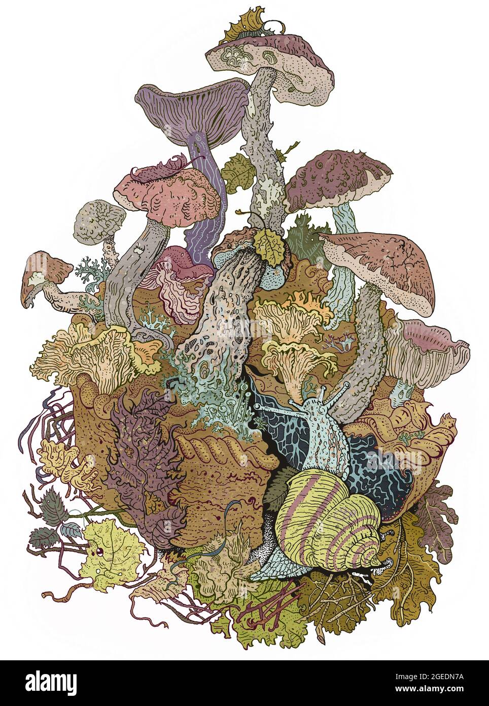 Autumn wildlife food Cut Out Stock Images & Pictures - Alamy