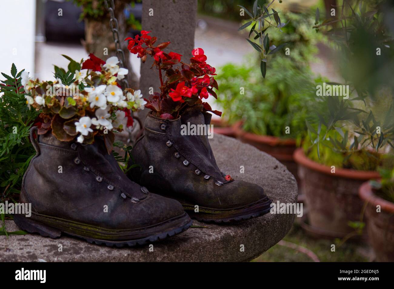 Unusual flower pots hi-res stock photography and images - Alamy
