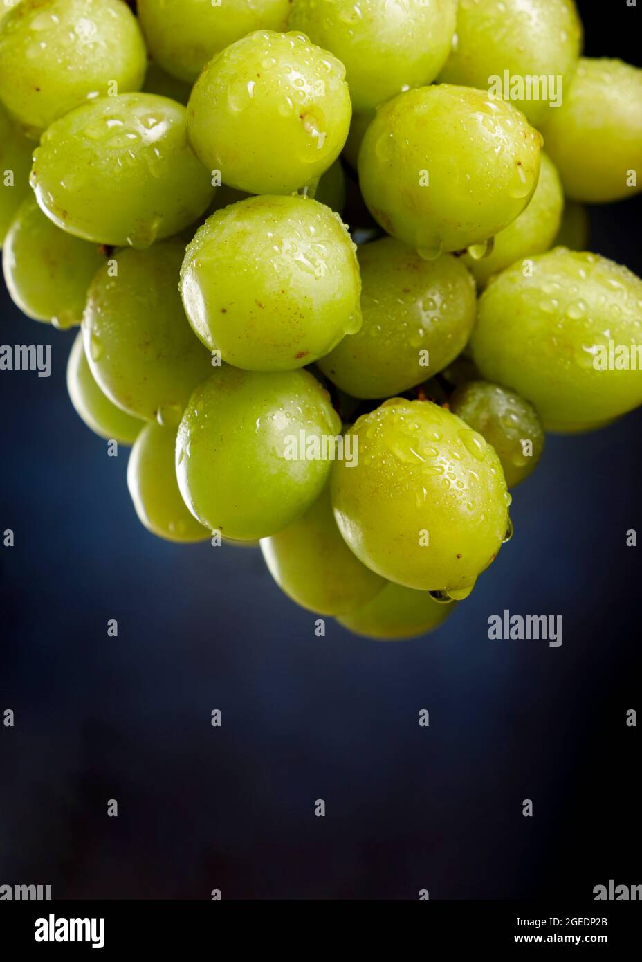 Close view fresh green grapes hi-res stock photography and images - Alamy