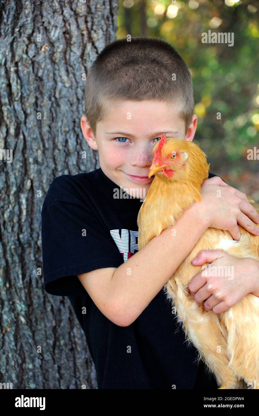 Boy Holding Chicken Closeup High Resolution Stock Photography and ...
