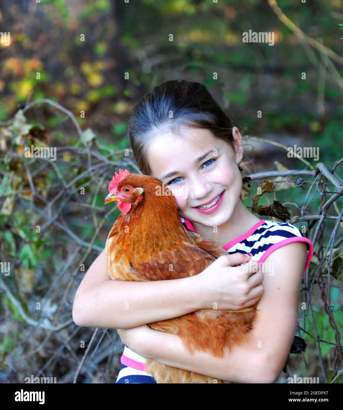 Beautiful little girl hugs her pet chicken. She is smiling proudly and ...